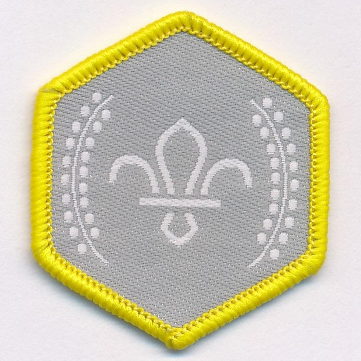 Cub Scouts Chief Scouts's Silver Award Badge