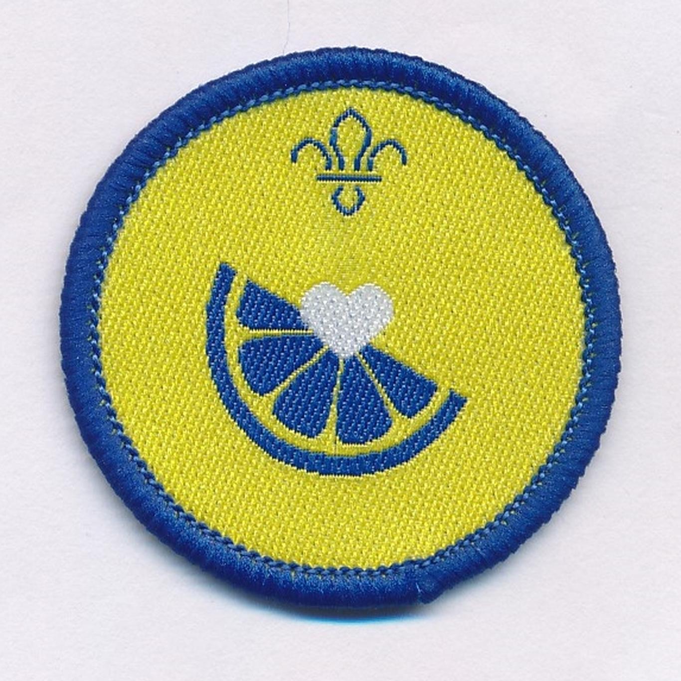Beaver Scouts Scouts Health and Fitness Badge