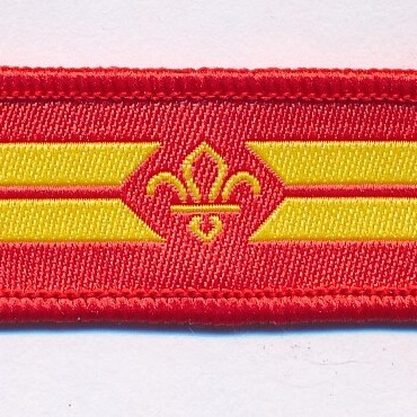 Cub Scout Sixer Badge and Top Tips Leaflet x 1 of Each