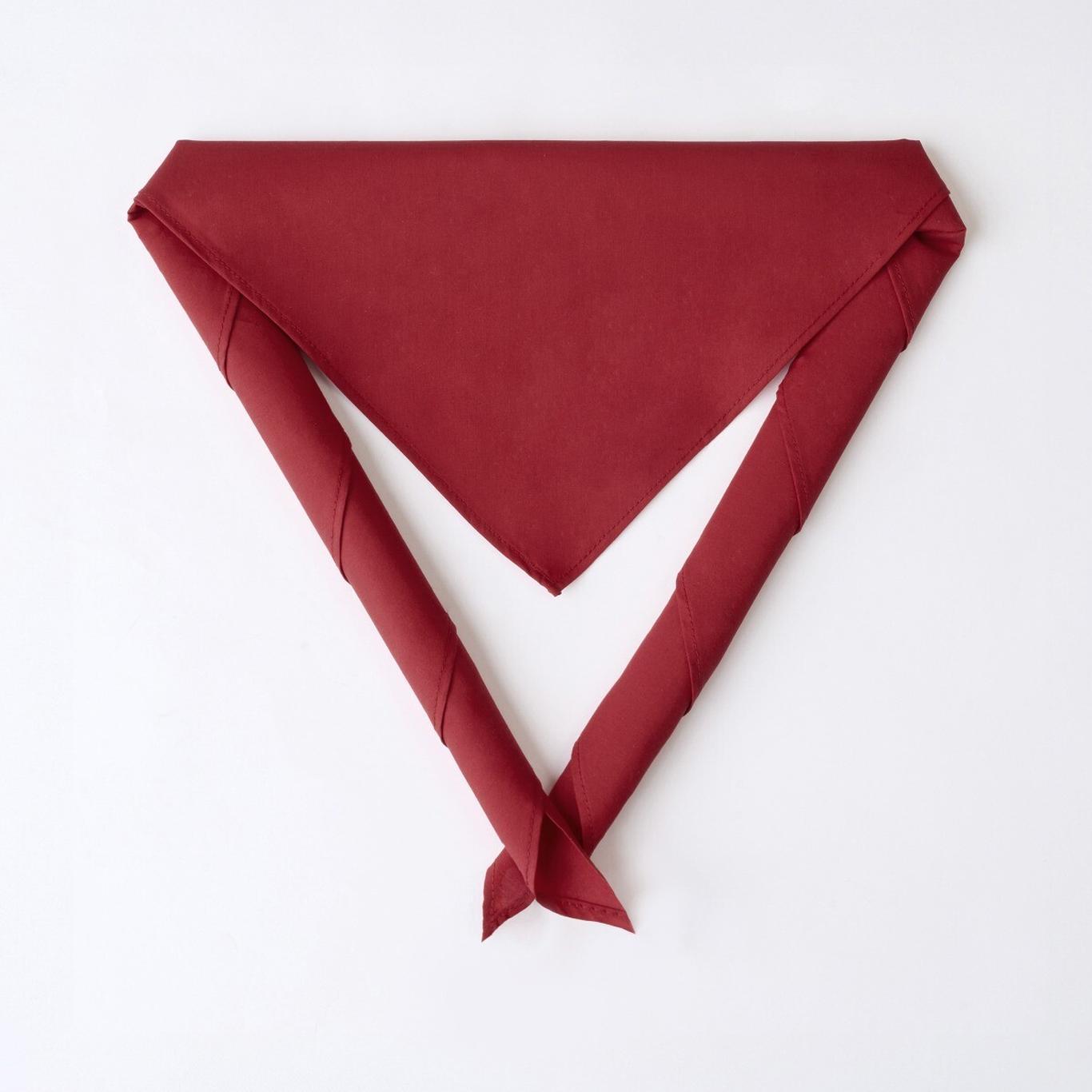 Youth Plain Scout Scarf/Necker
