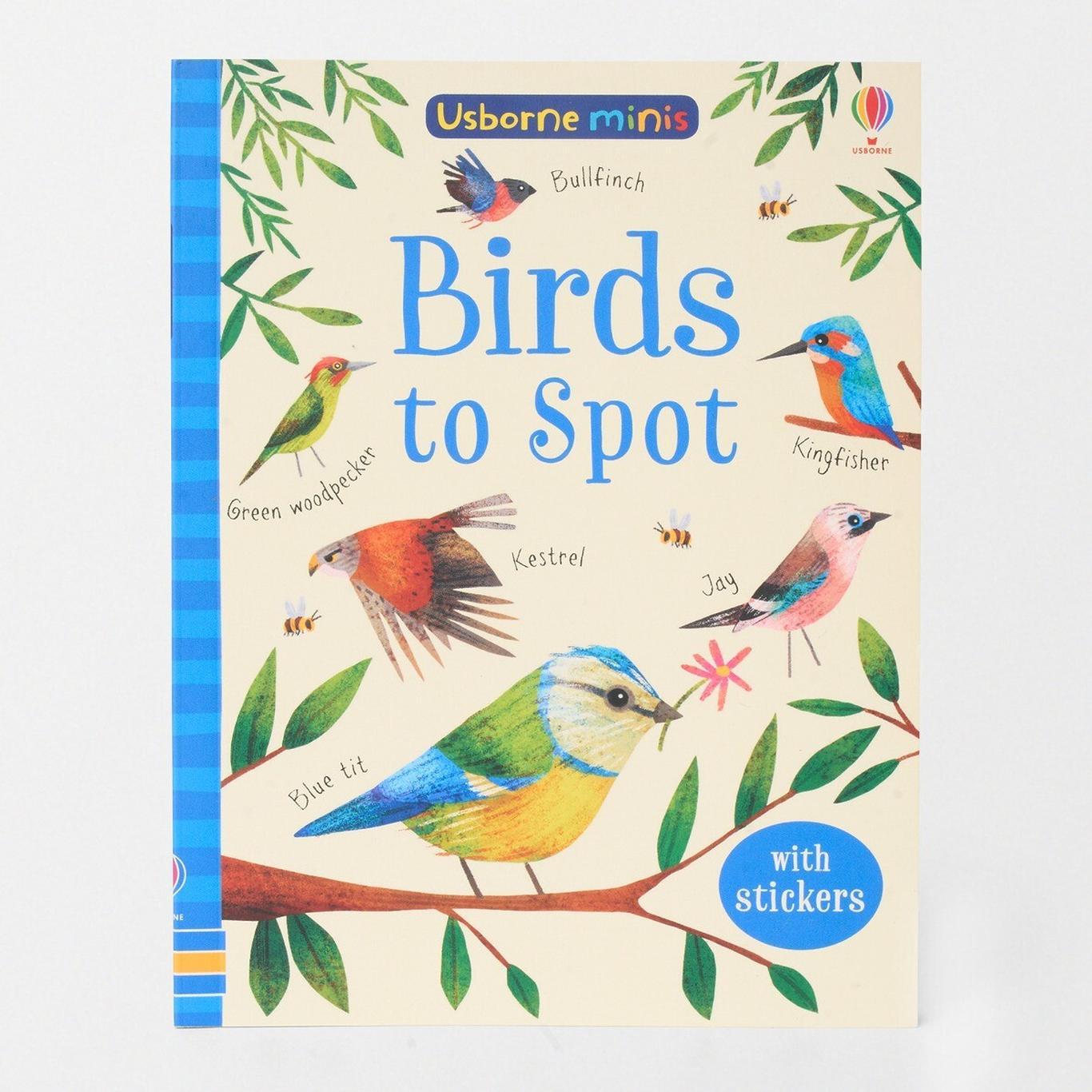Birds to Spot - Usborne Mini Book | Identify 60 Birds
