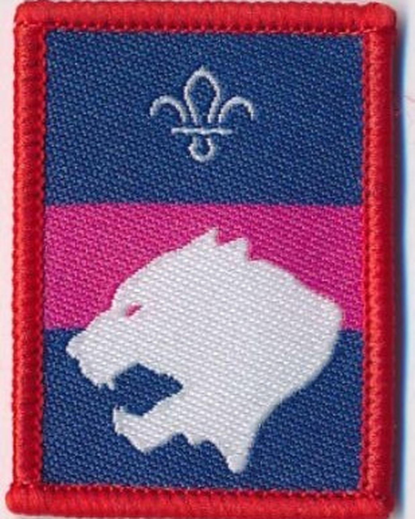 You Shape Squirrel Plan Badge Scouts Sections