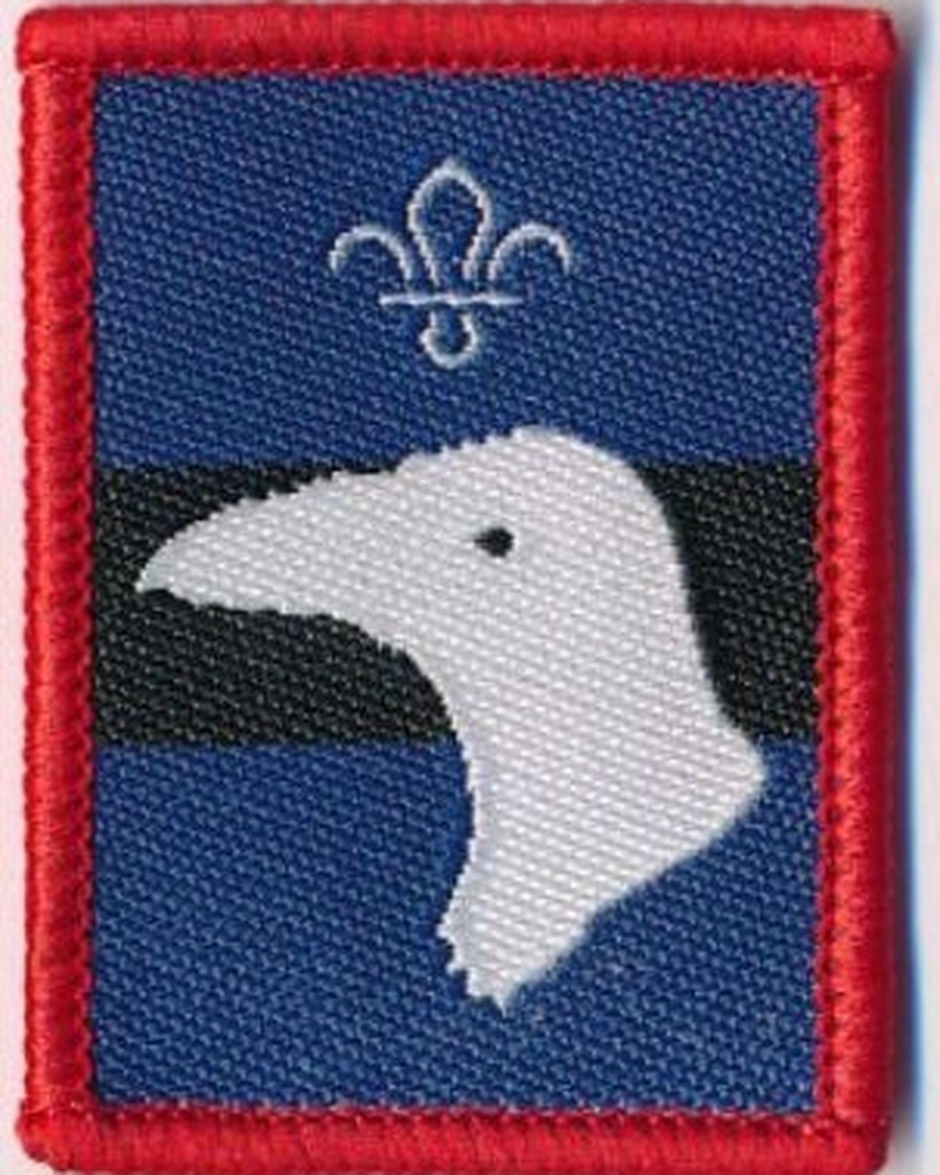 Scout Forester Activity Badge Volunteer Leaders