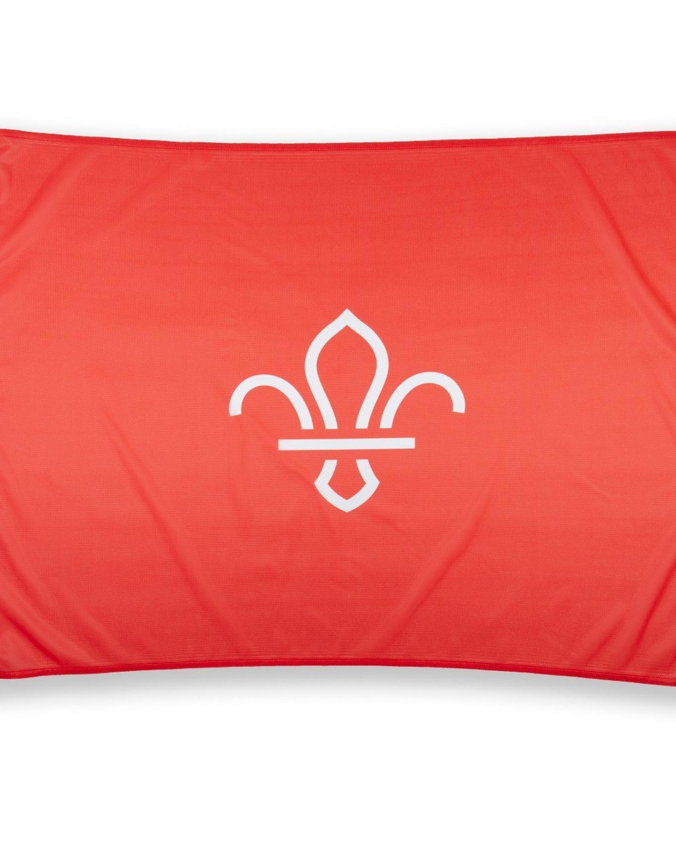 Scouts Hobbies Activity Badge Scouts Sections