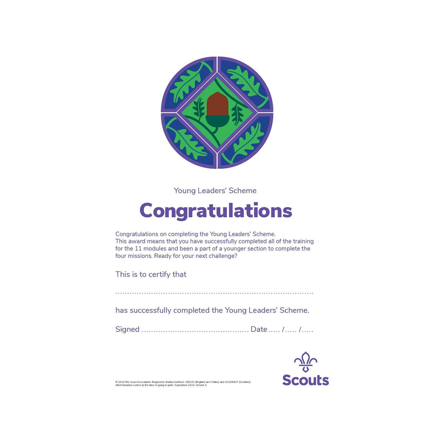 You Shape Beaver Scout Badge Volunteer Leaders