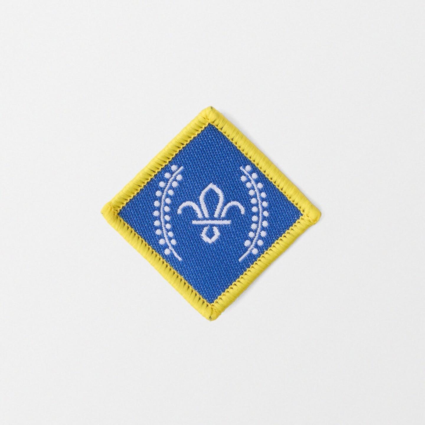 Chief Scouts Platinum Award Badge