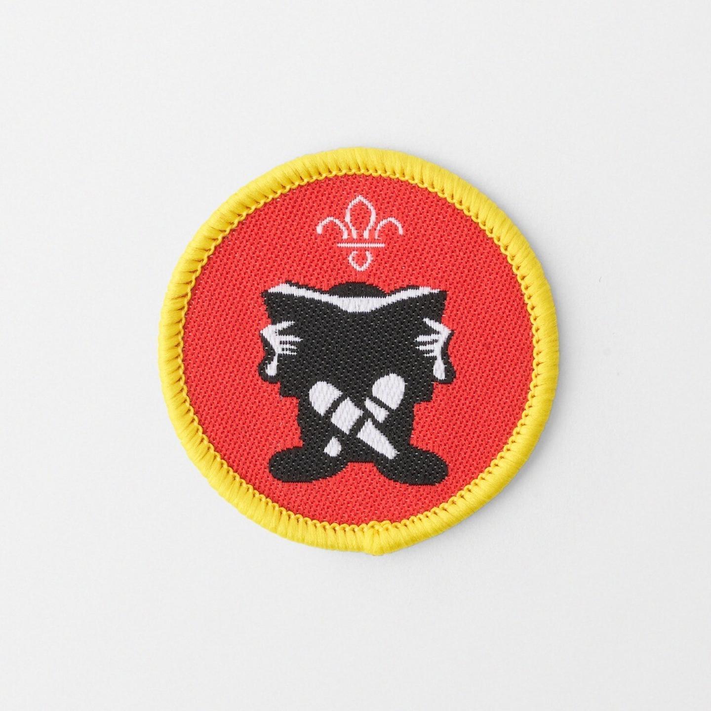 Cub Scout Book Reader Badge