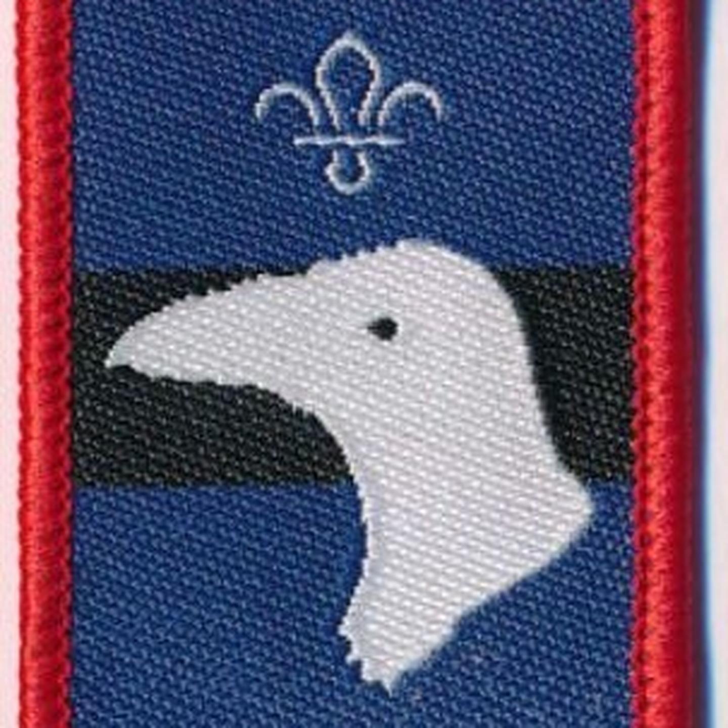 Scout Patrol Badge Raven Volunteer Leaders