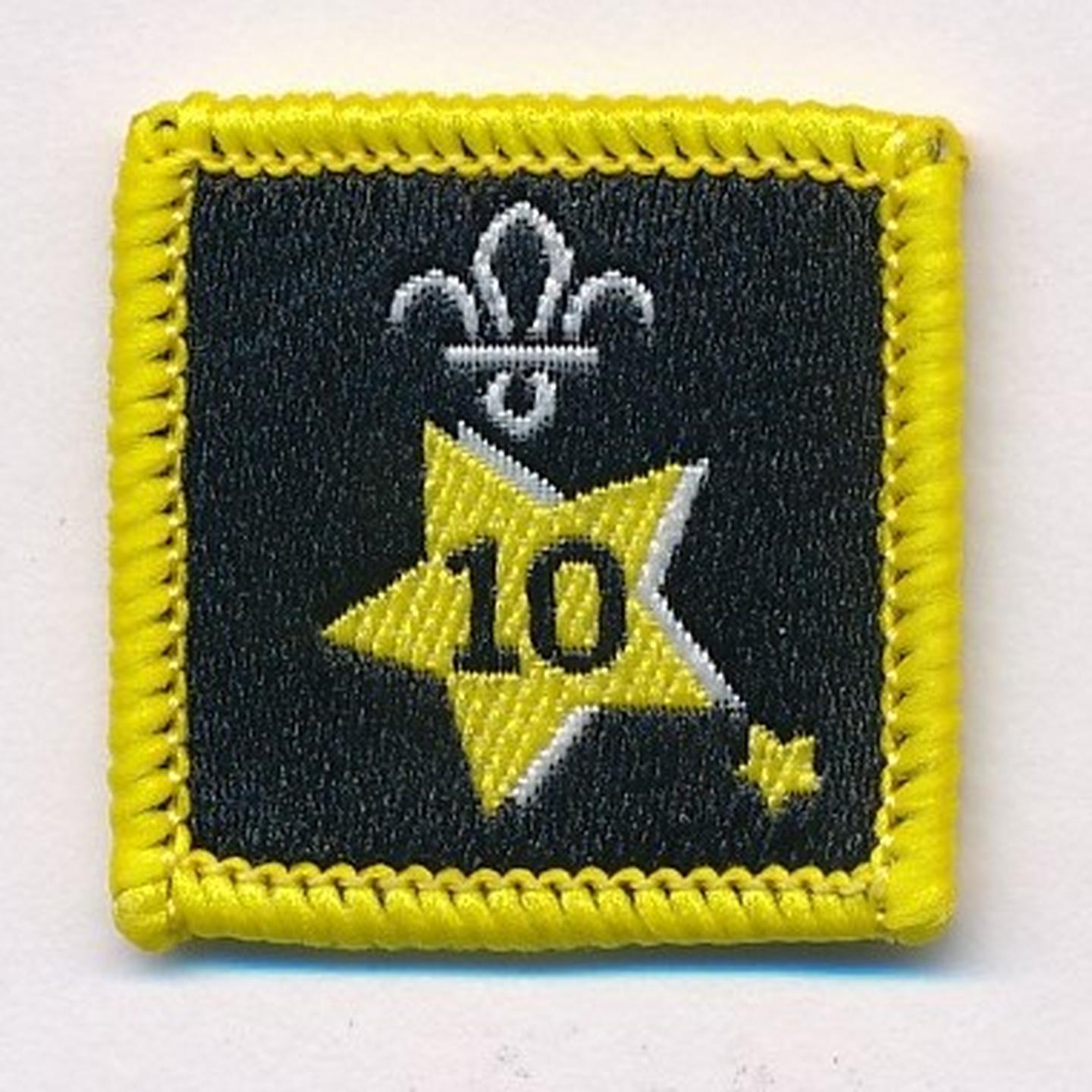 Joining in Award Badge 10 | Scouts Volunteer Leaders
