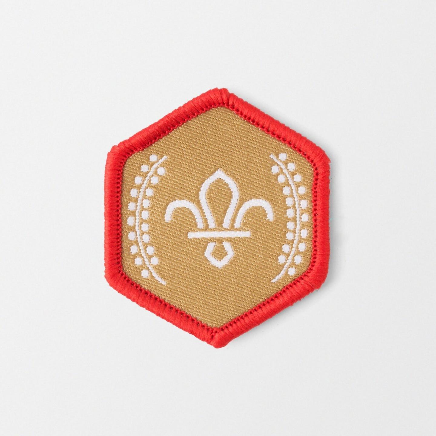 Chief Scouts's Gold Award Badge