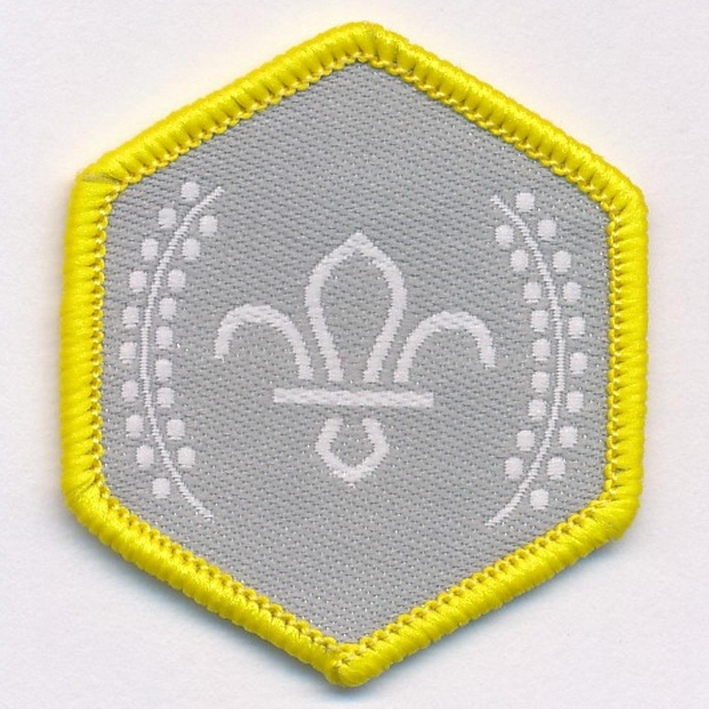 Cub Scouts Chief Scouts's Silver Award Badge