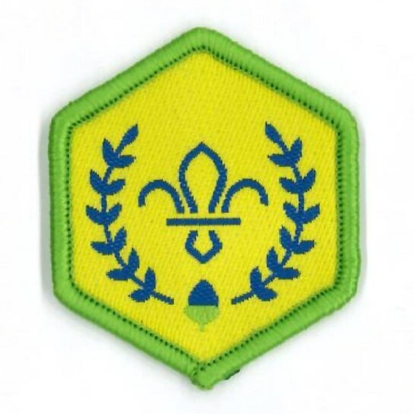 Squirrel Scout Acorn Award Challenge Badge Volunteer Leaders