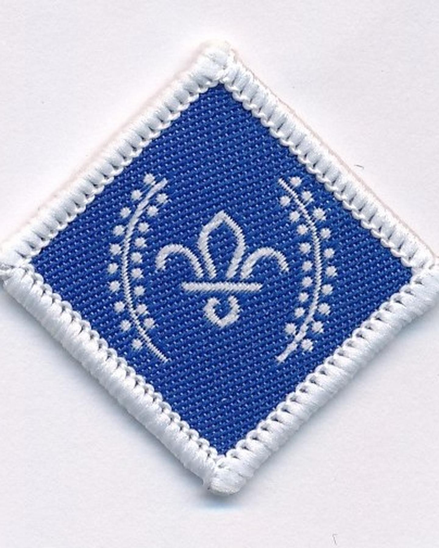 Emergency Aid Stage 1 Activity Badge Volunteer Leaders