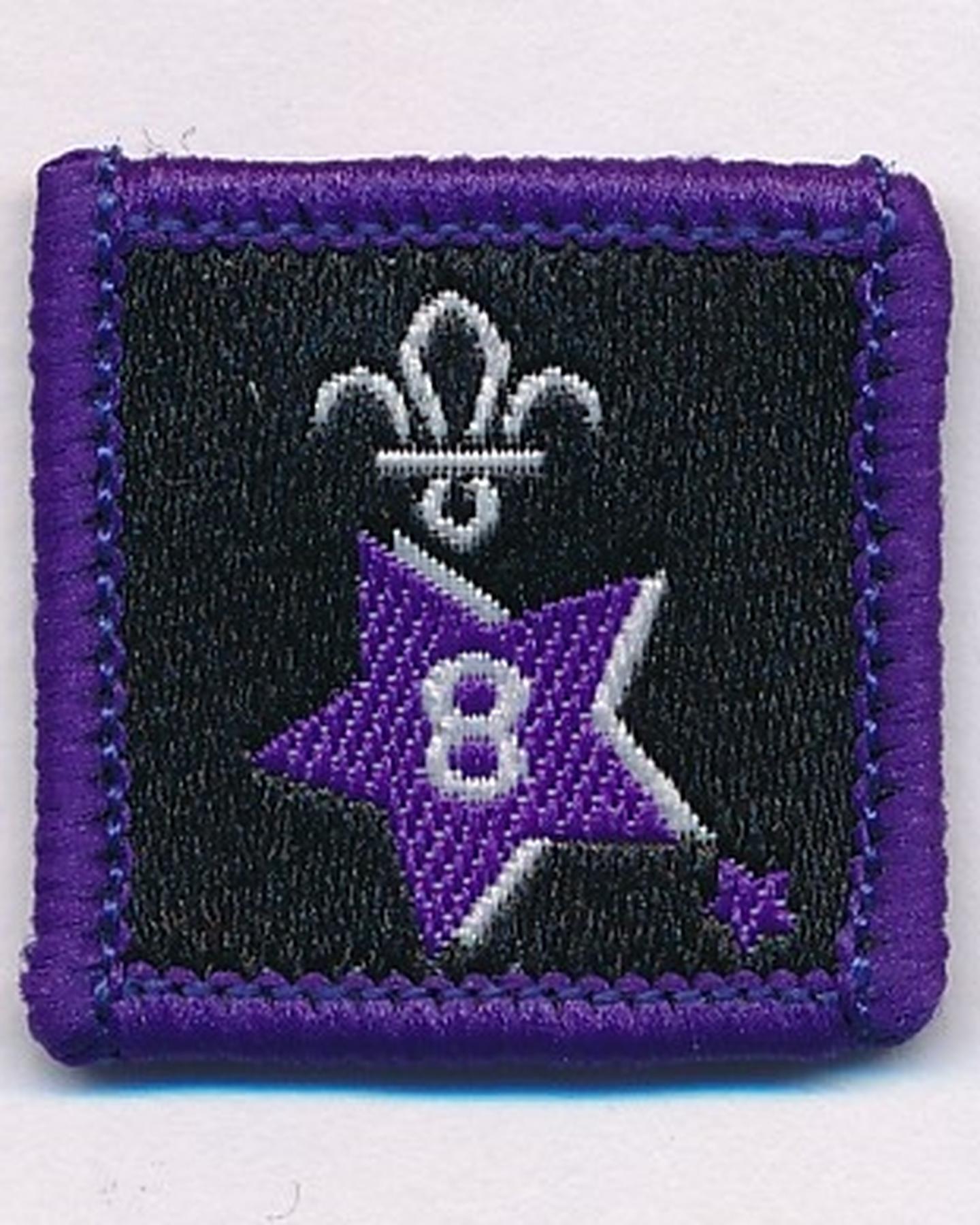 You Shape Squirrel Represent Badge Scouts Sections