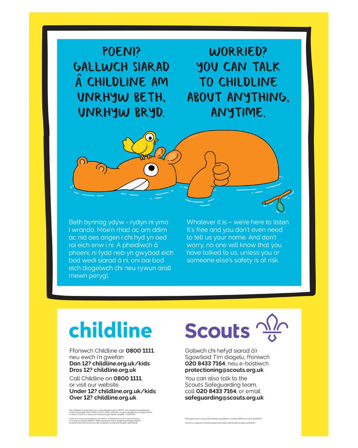 Scouts Yellow Card - Safeguarding Code of Conduct for Adults Scouts ...