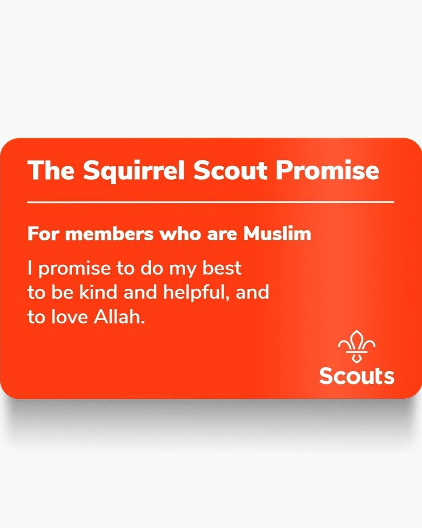 Squirrel Scouts Investiture Certificates (Pack of 10) Scouts Sections