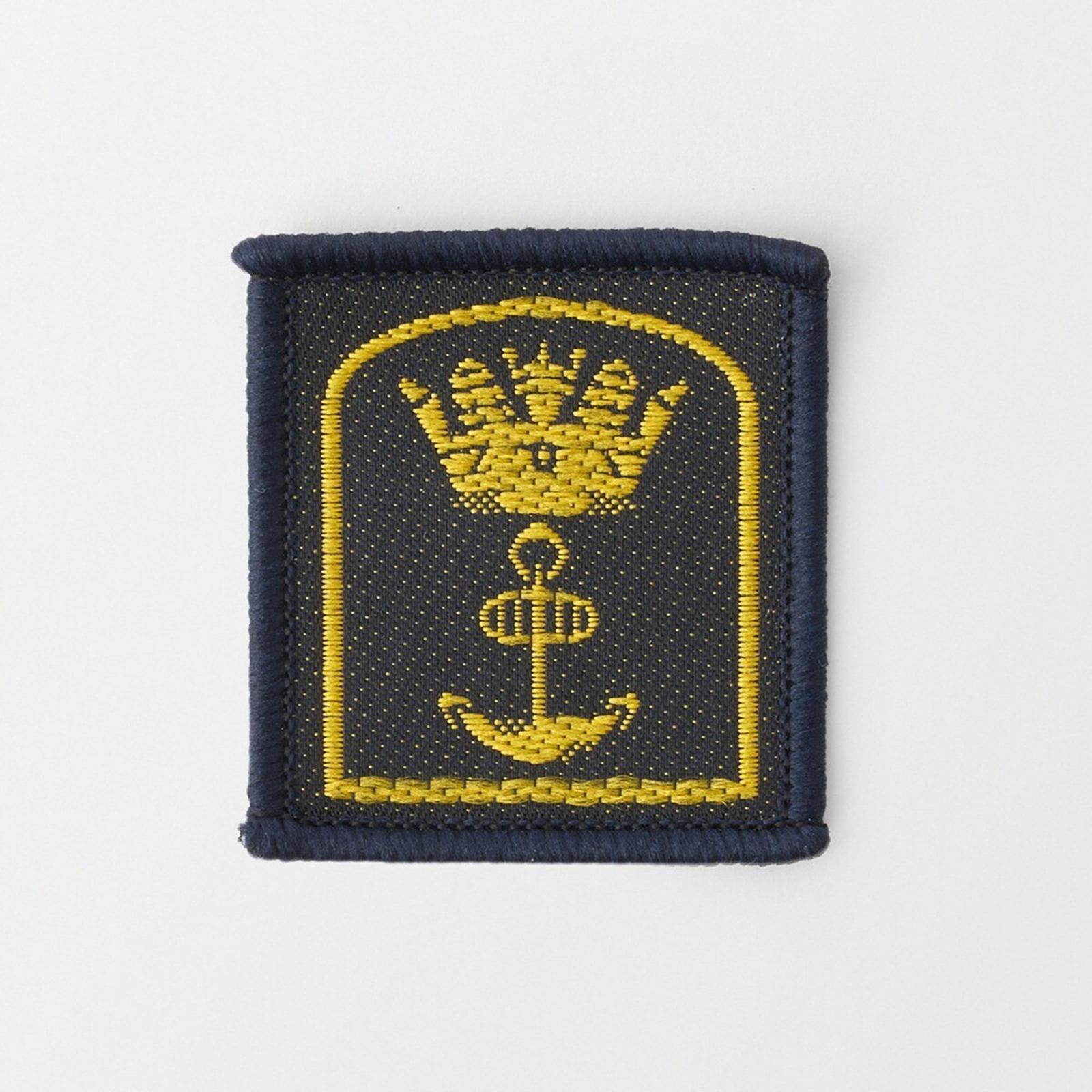 R.N. Recognition badge