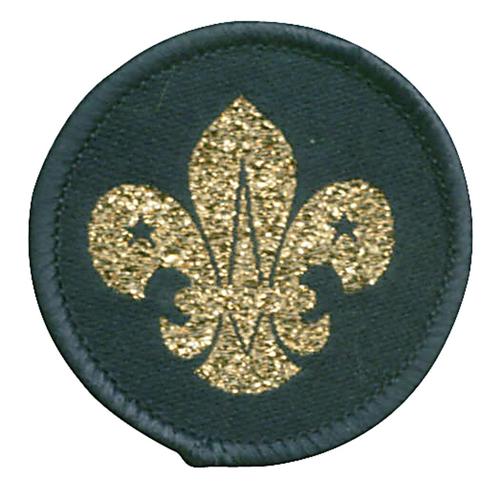 Air Scout Beret Badge Cloth Volunteer Leaders