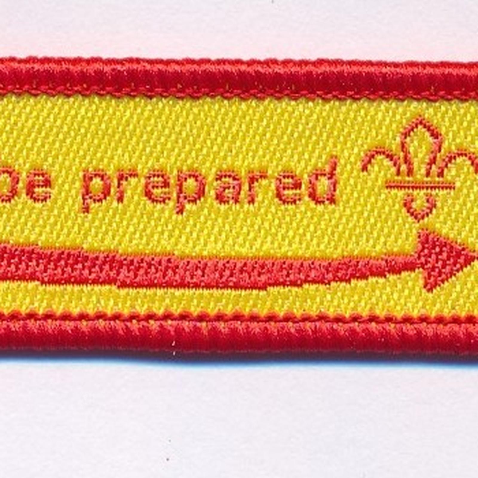 Moving On Award Beaver Volunteer Leaders