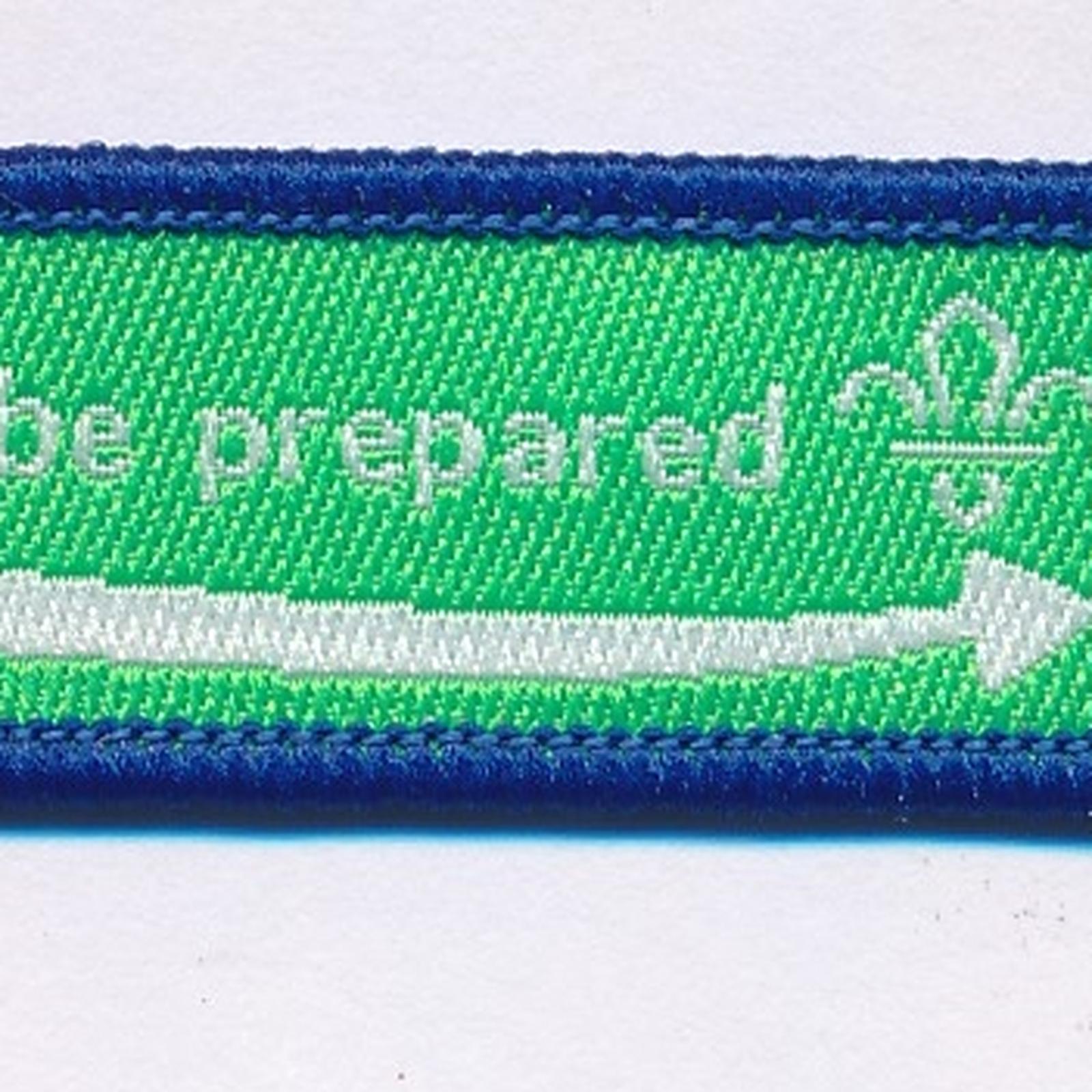 Moving on Award (Scouts to Explorers) Volunteer Leaders