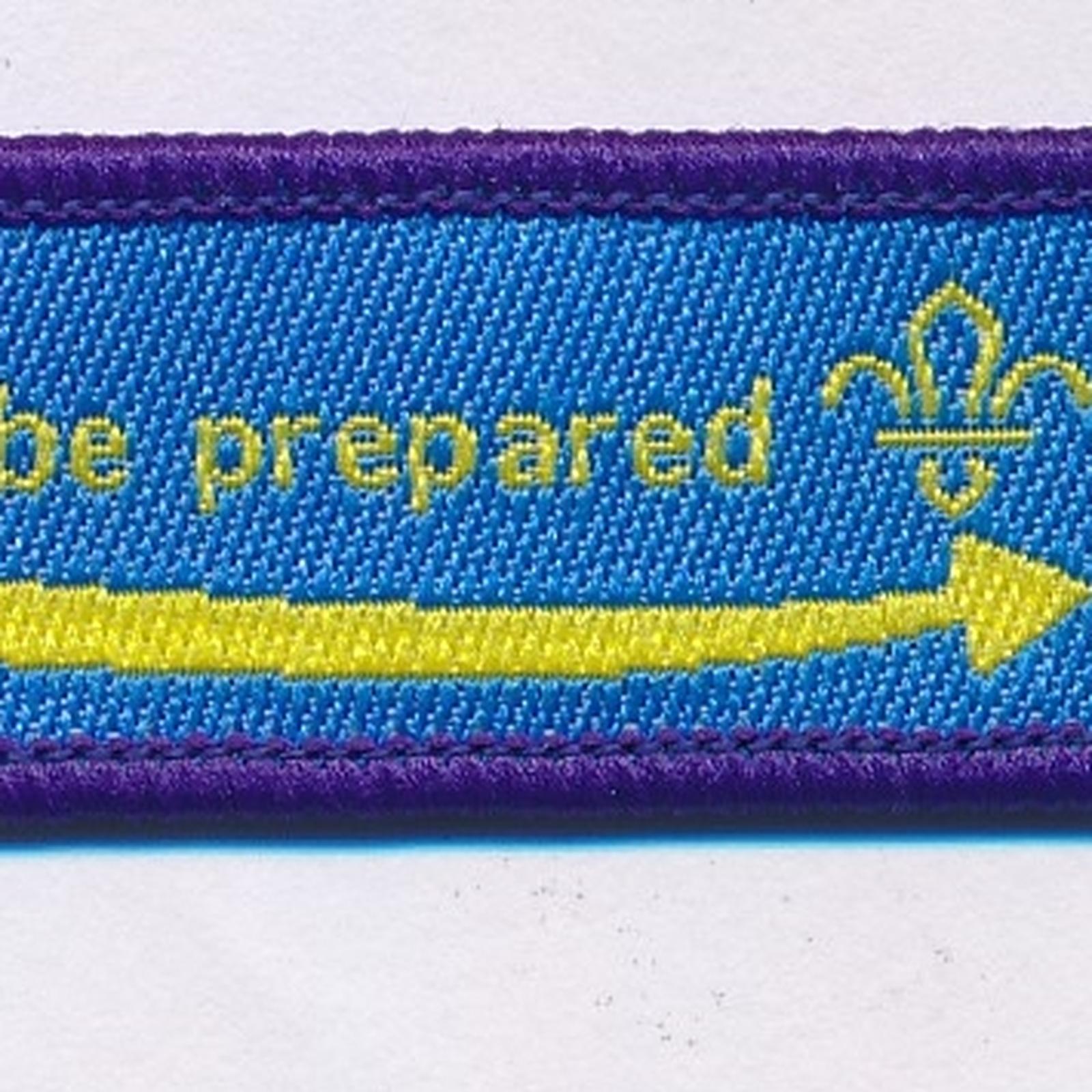 Explorer Scout Moving On Award badge Volunteer Leaders