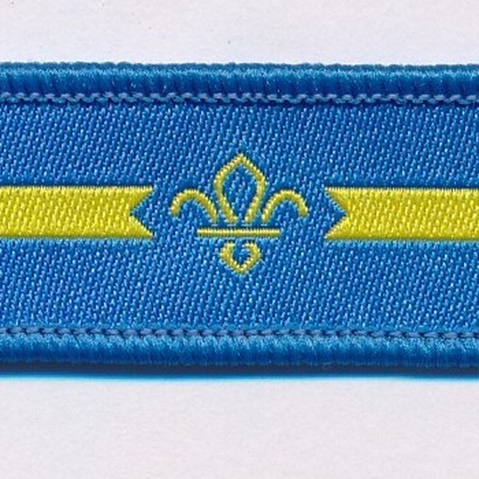 Scout Assistant Patrol Leader badge Scouts Badges