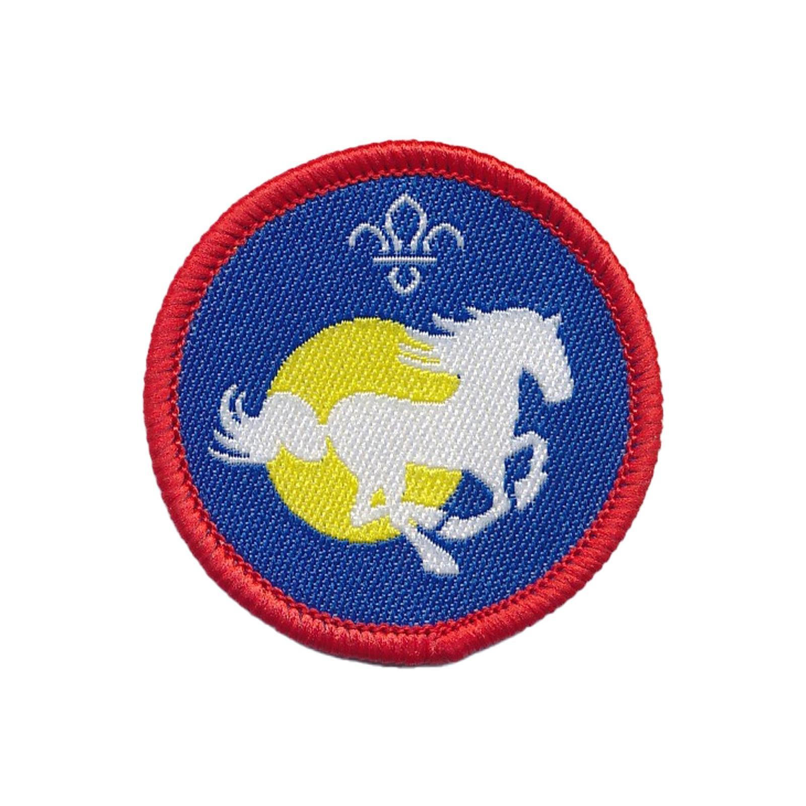 Scouts Equestrian Activity Badge Volunteer Leaders