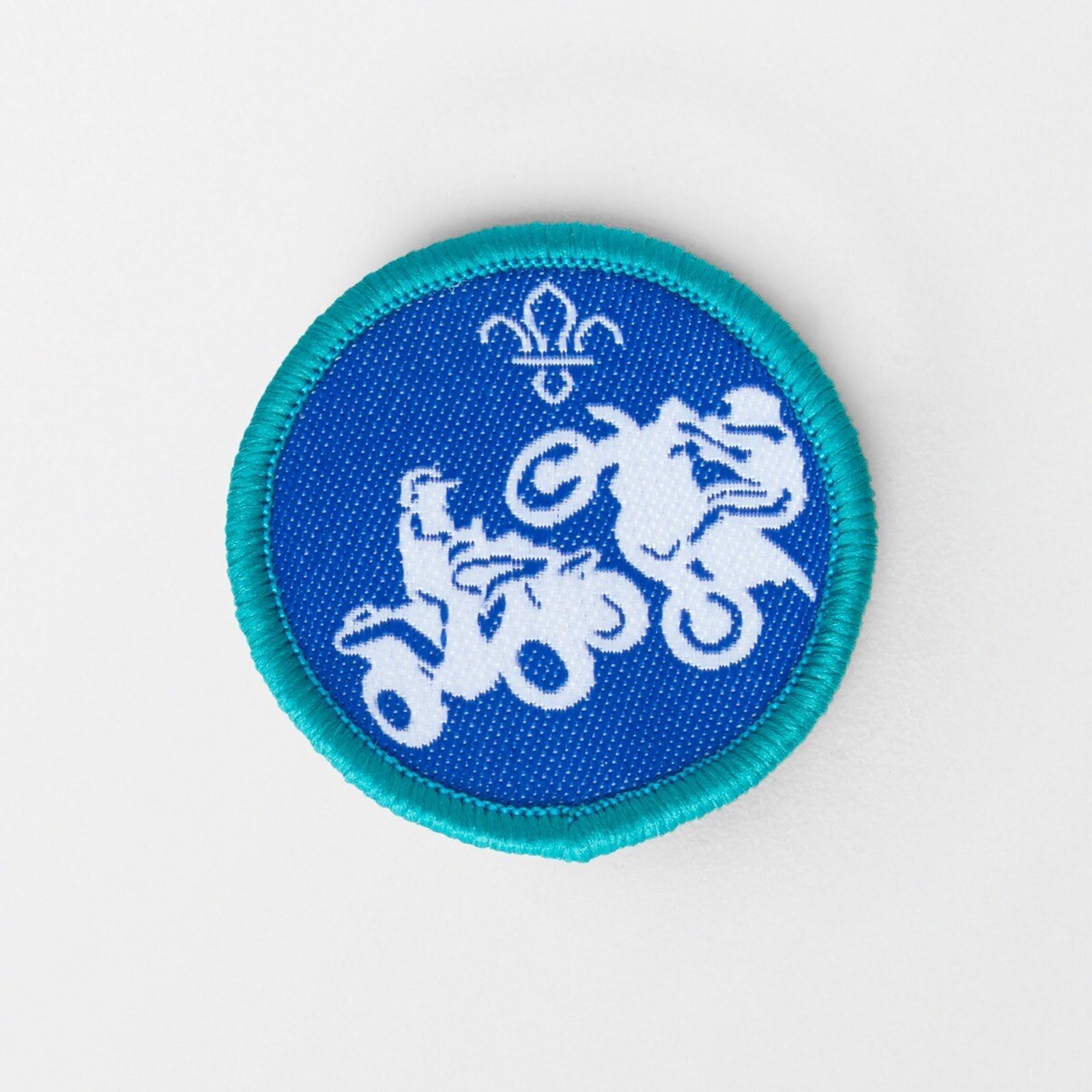 Explorer Scouts Motor Sports Activity Badge