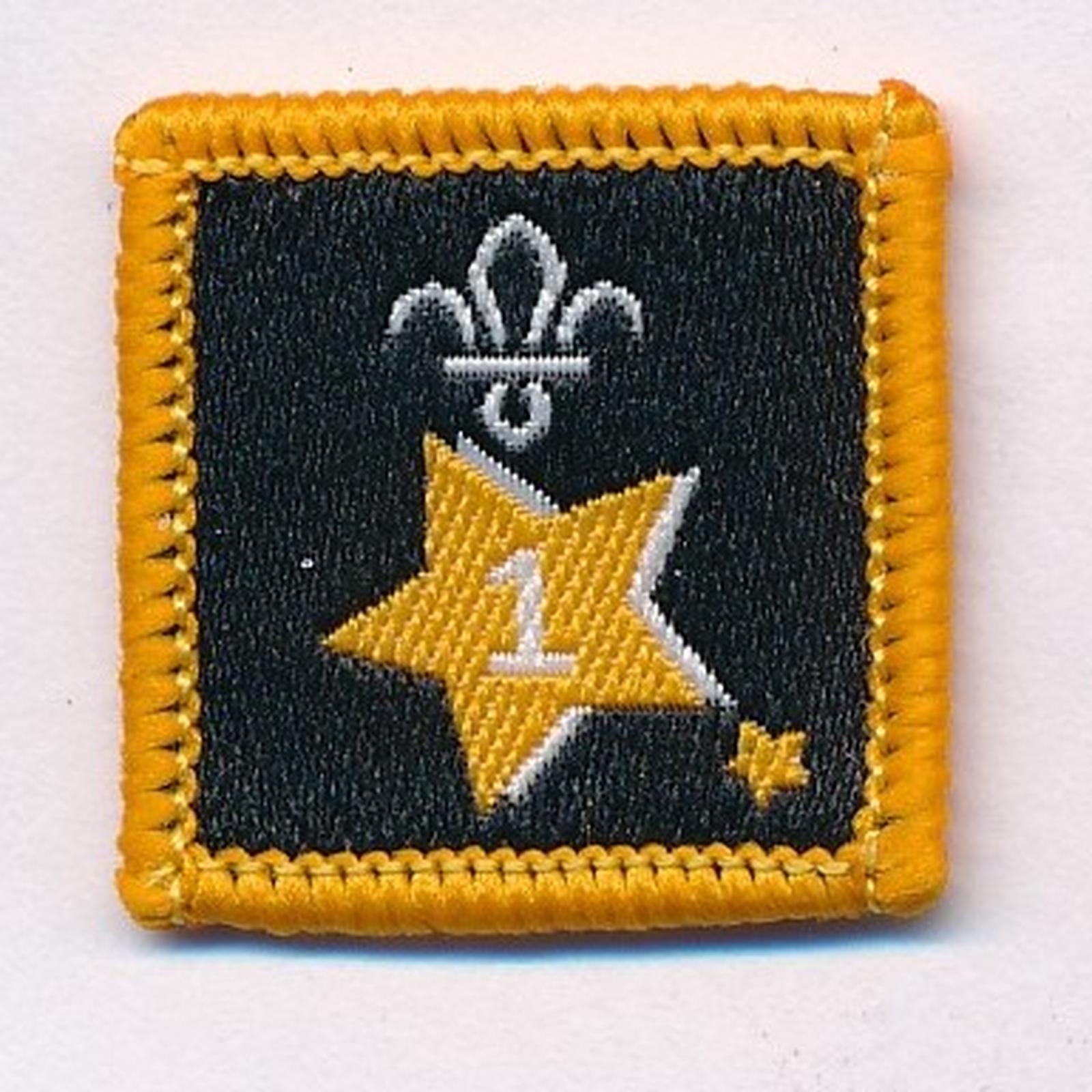 Joining in Award Badge 1 | Scouts Volunteer Leaders