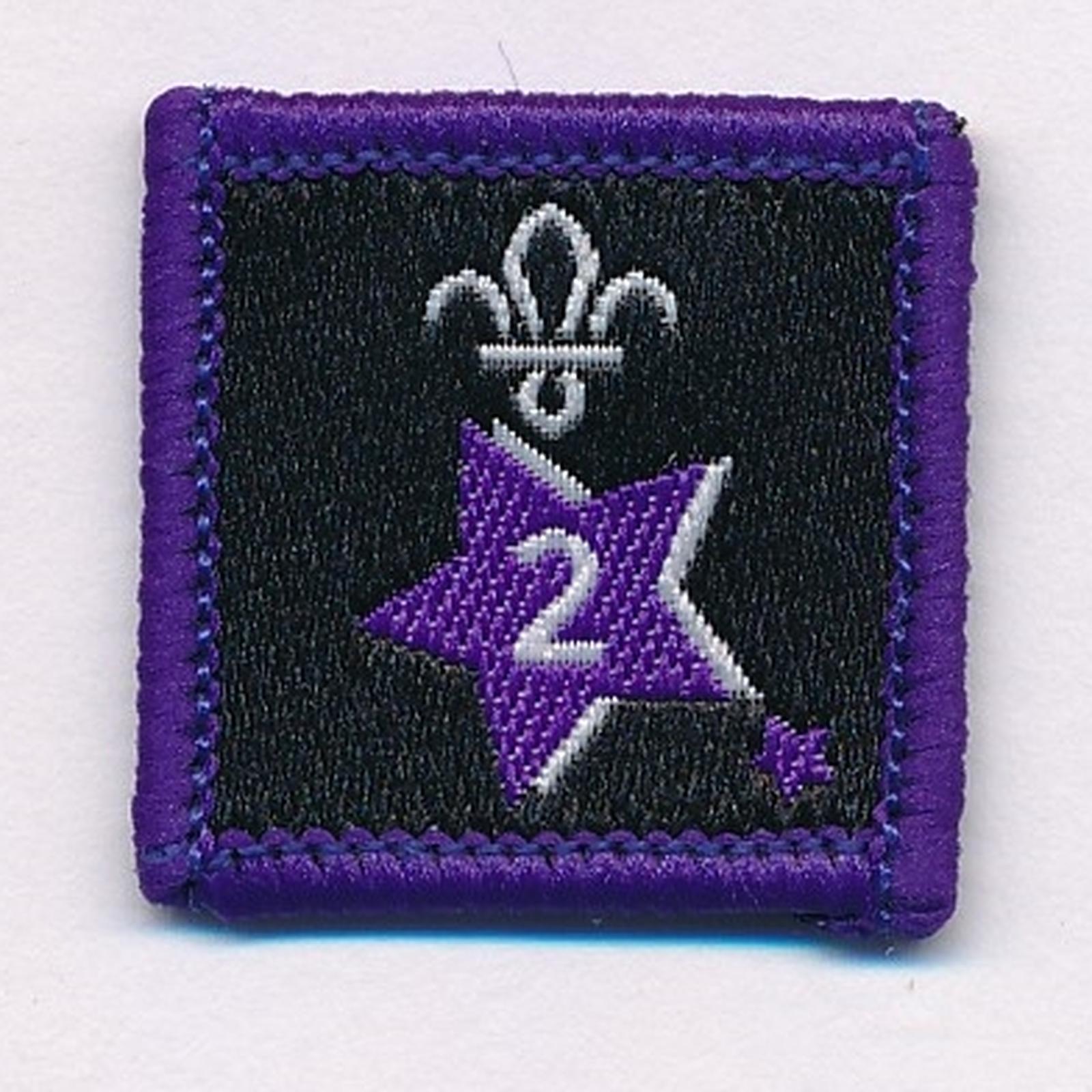 Joining in Award Badge 2 | Scouts Volunteer Leaders