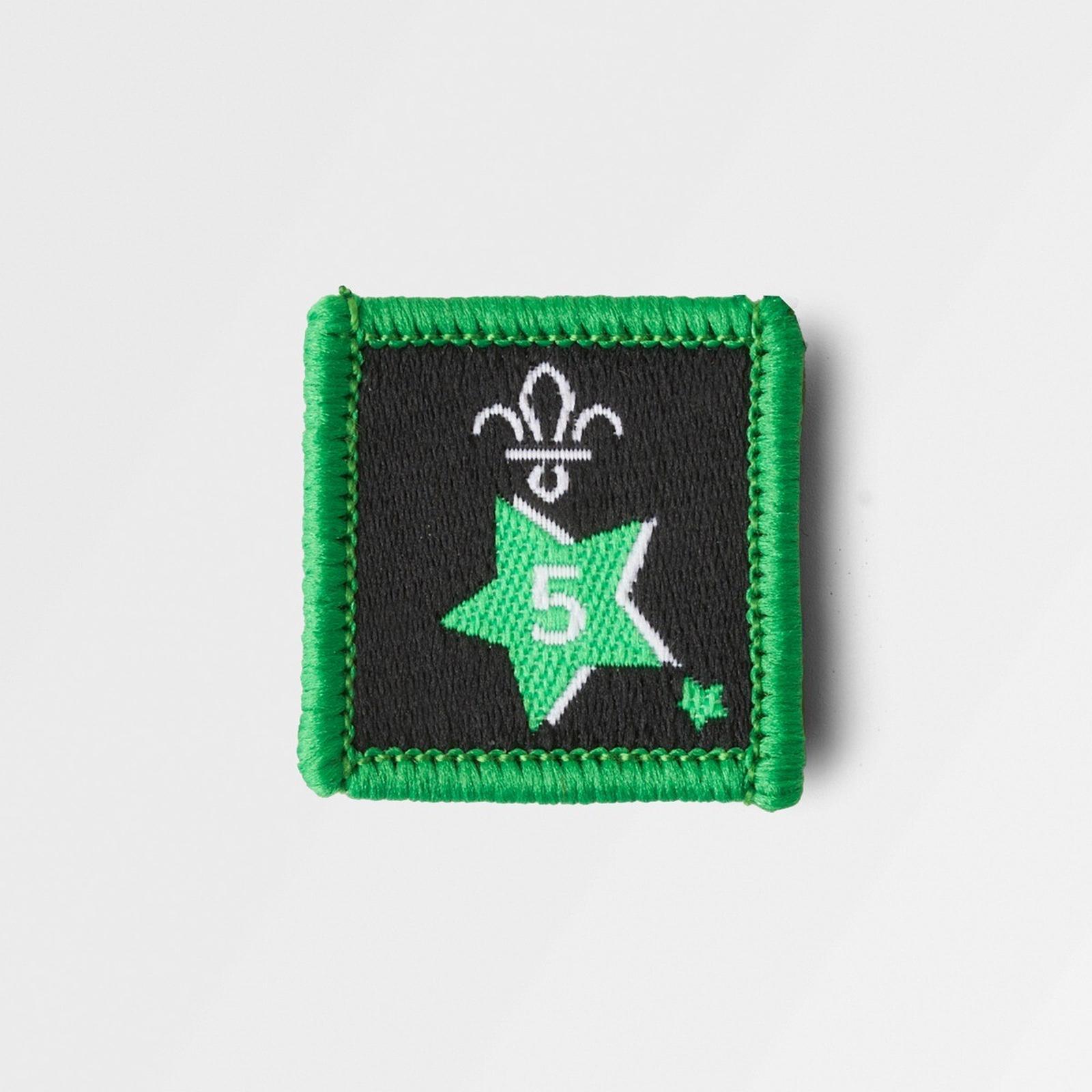Joining in Award Badge 5 | Scouts