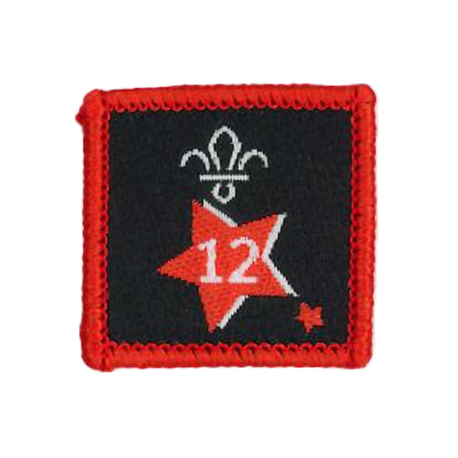 Joining in Award Badge 12 | Scouts Volunteer Leaders