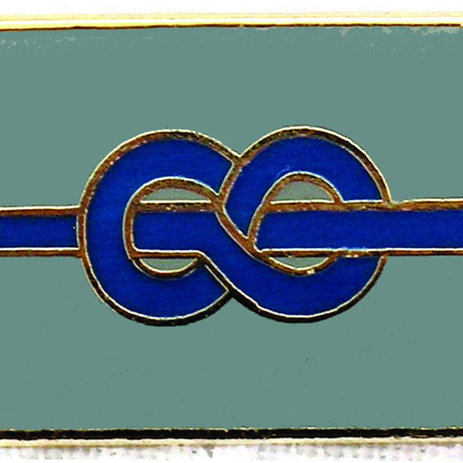 Silver Cross Pin Badge Volunteer Leaders