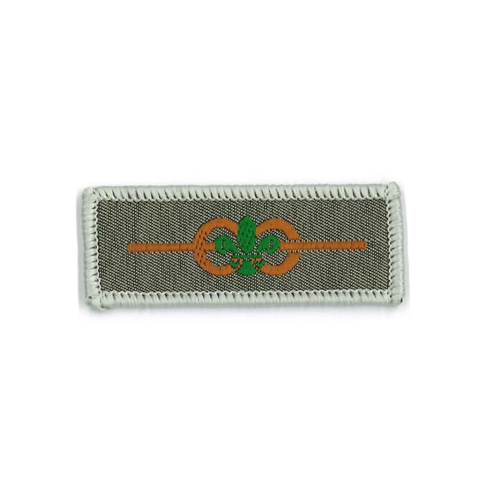 Bar to the Silver Acorn Cloth Badge Exclusions