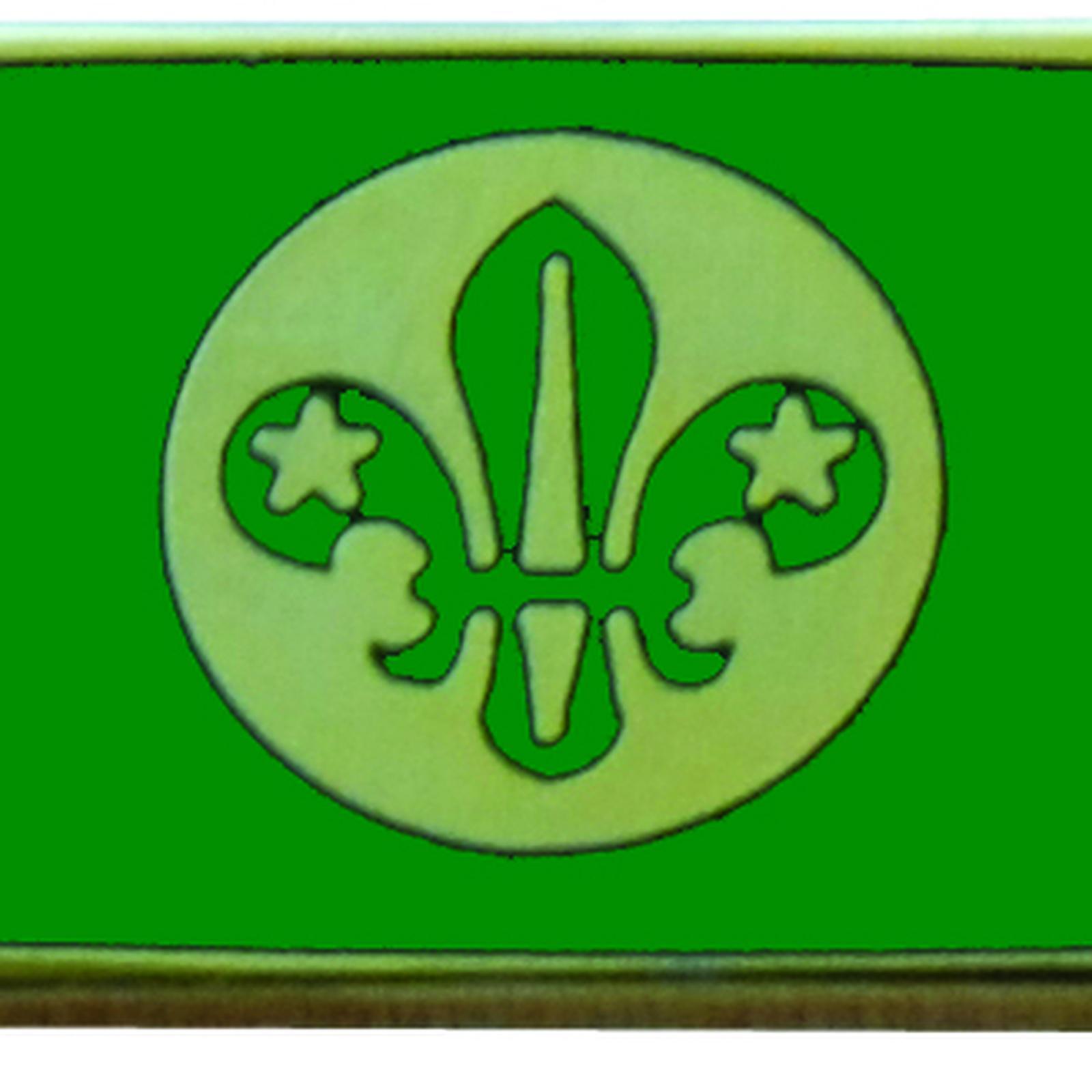 Chief Scout's Personal Award Pin Badge