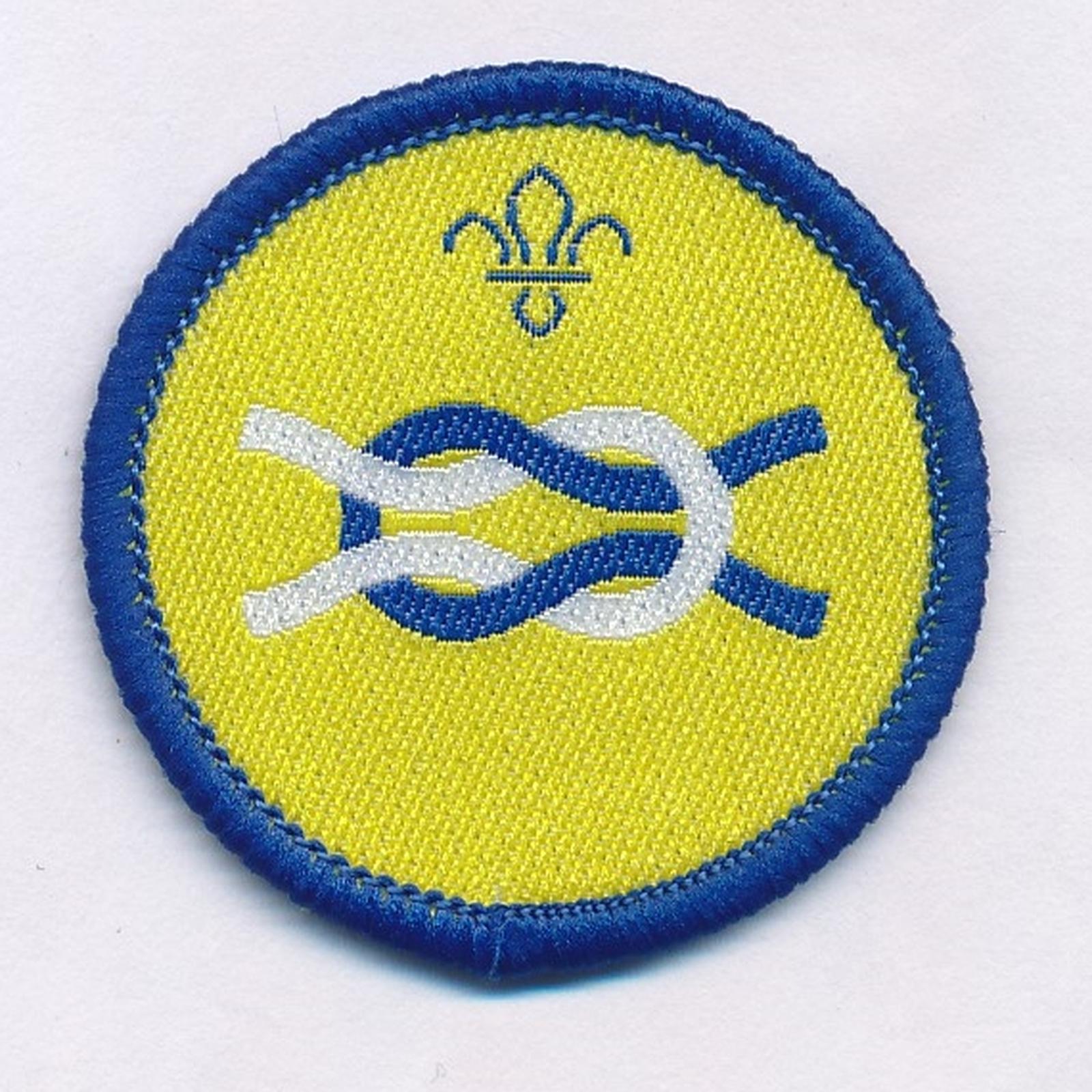 Beaver Scouts Scouts Camp Craft Activity Badge Volunteer Leaders