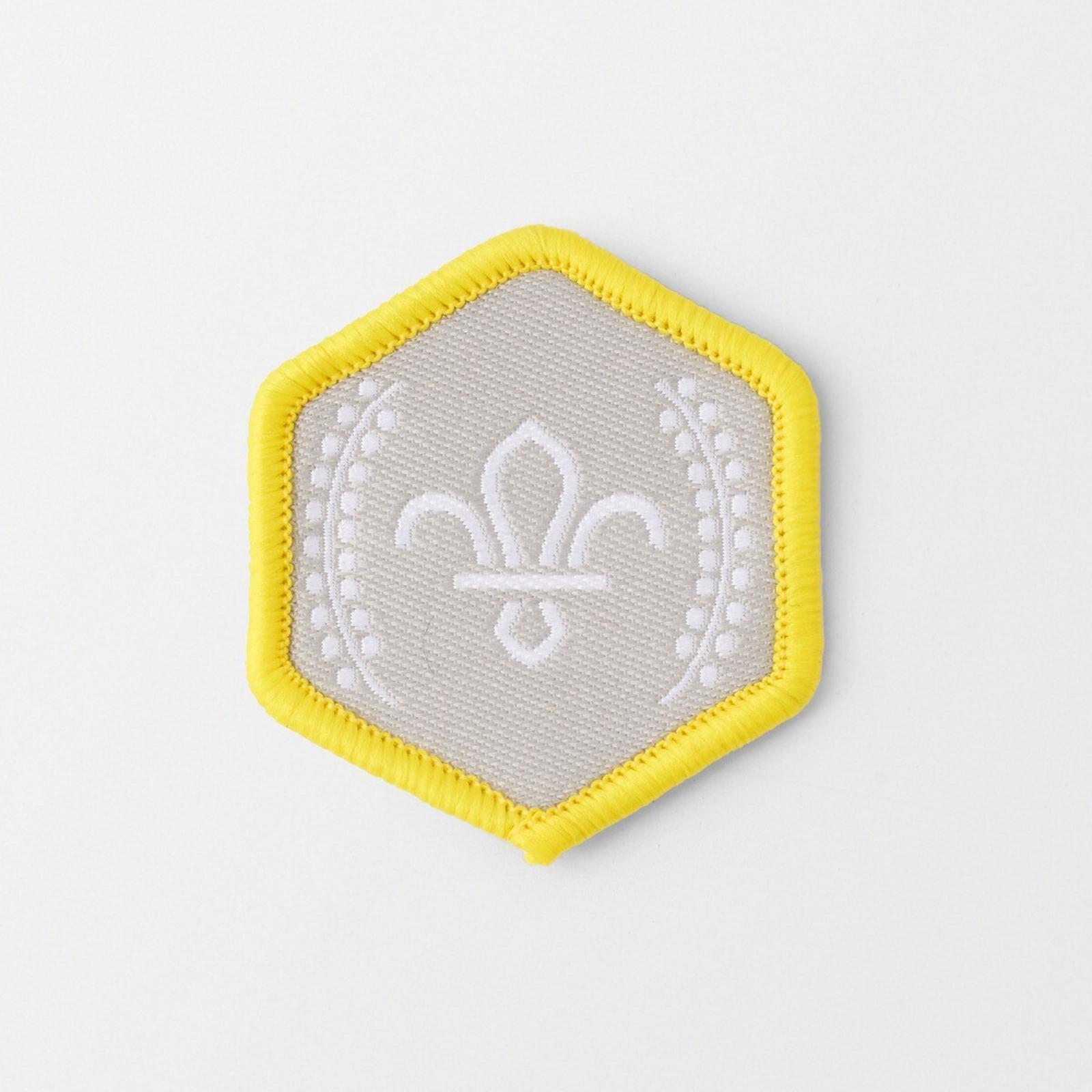 Cub Scouts Chief Scouts's Silver Award Badge