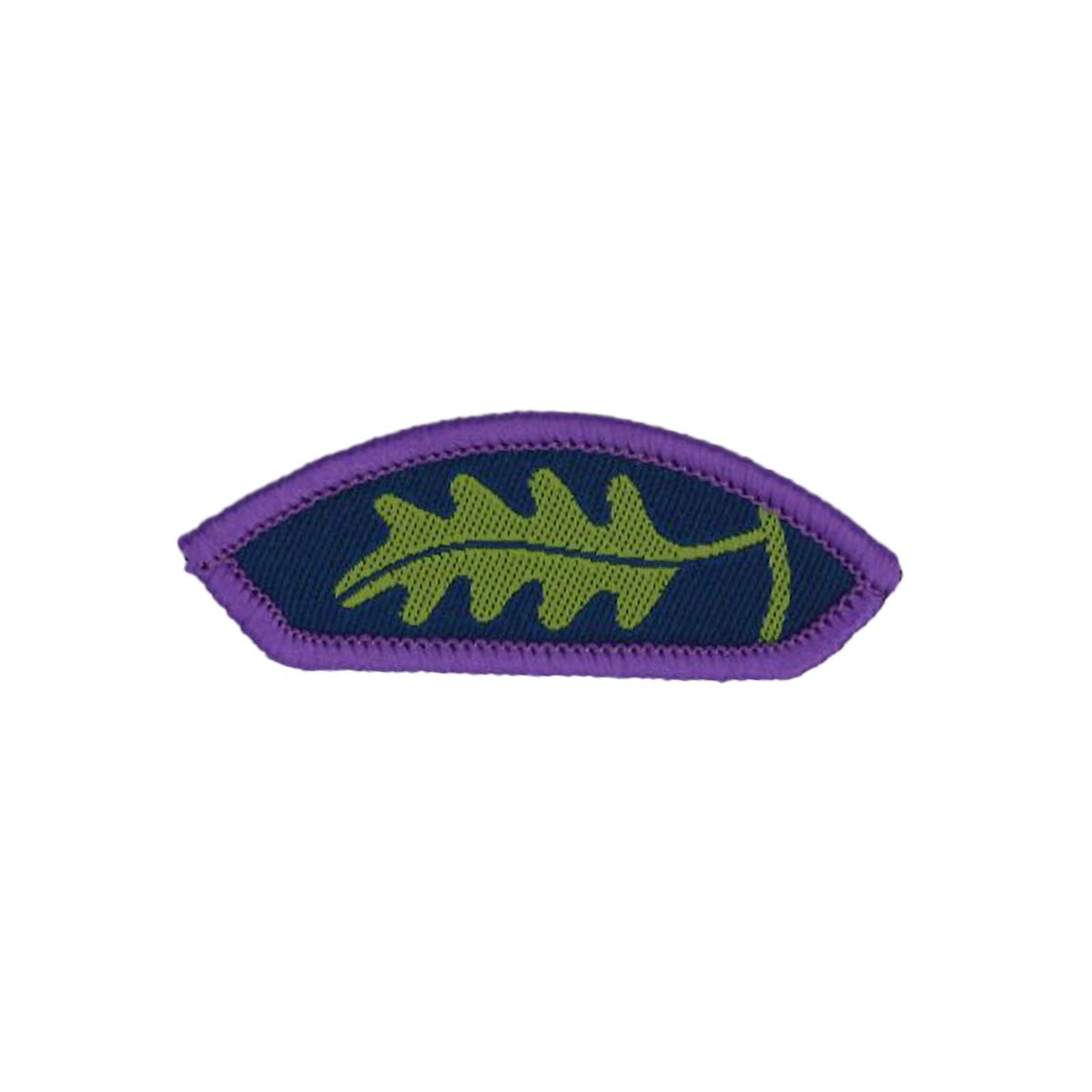 Young Leaders Mission Badge Volunteer Leaders