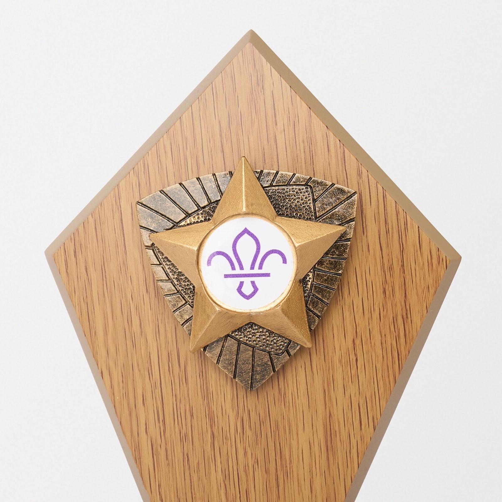 Wooden Star Award Trophy with Scouts Logo 17.5cm