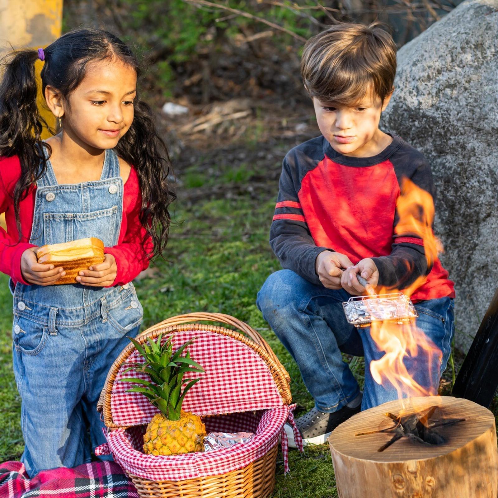 Kikkerland Roast A Toast | Toasting & Grilling Cage