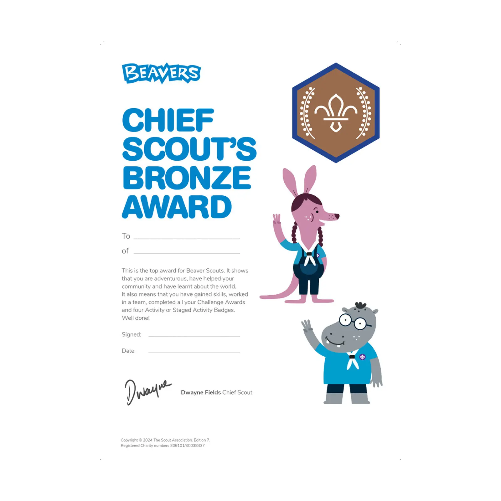 Chief Scout's Bronze Award Certificate - Pk of 10 | Beaver Scouts