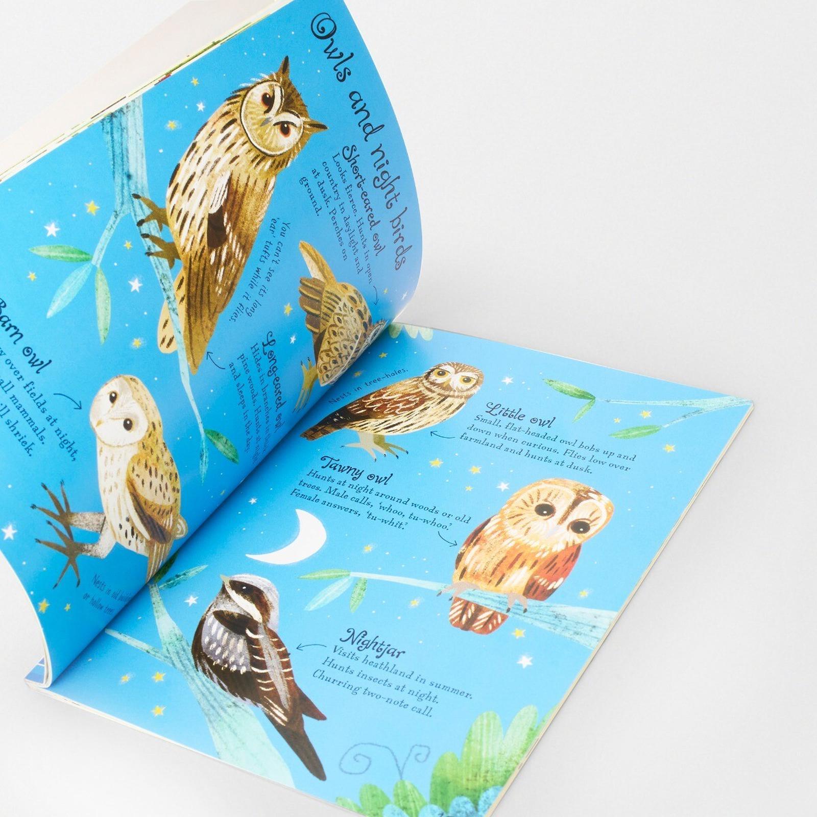 Birds to Spot - Usborne Mini Book | Identify 60 Birds
