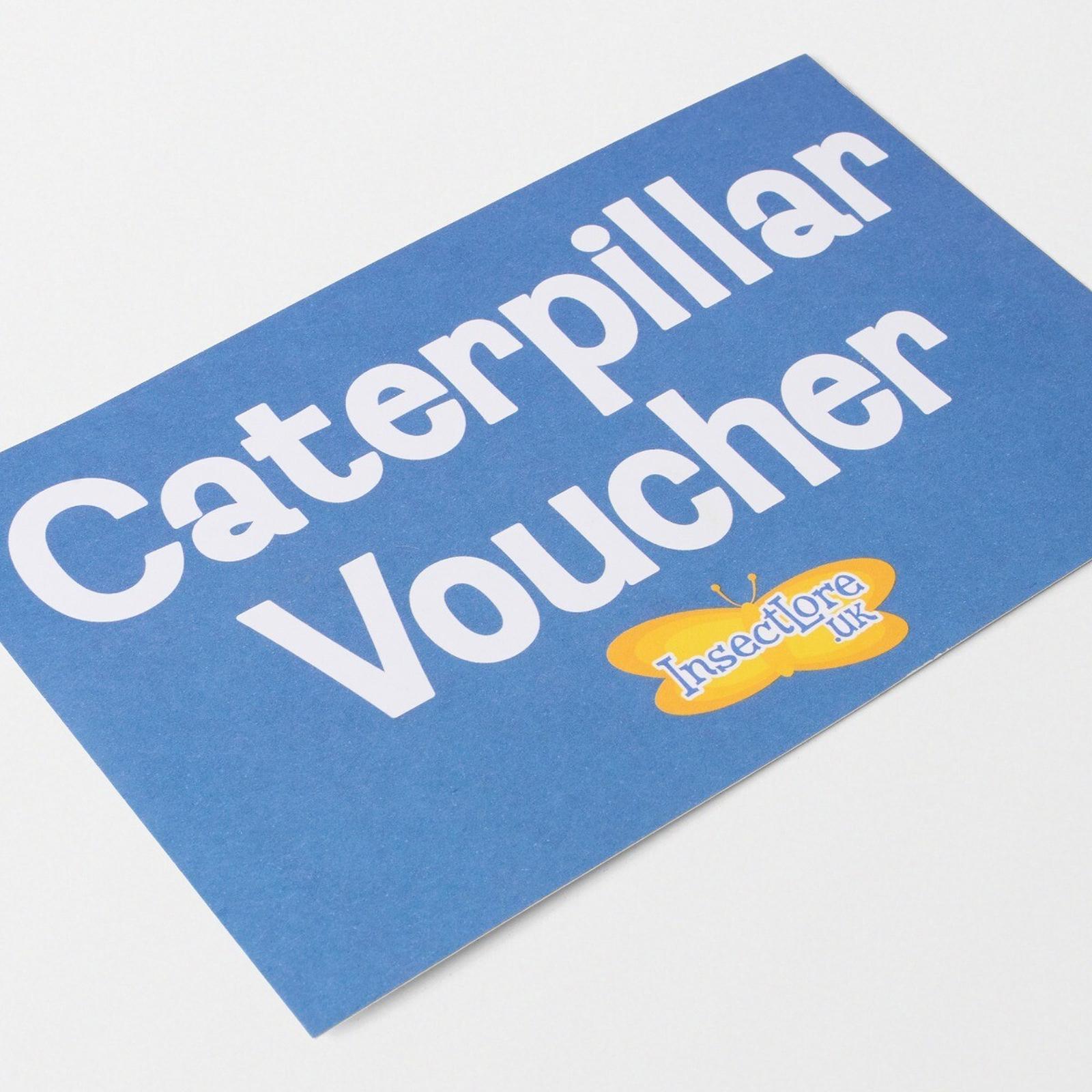 Insect Lore Giant Butterfly Garden | Raise your own Butterflies