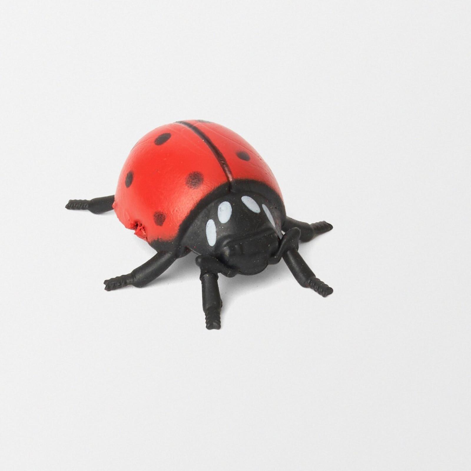 Insect Lore Clip-On Critter Carrier | Magnification Lens Lid