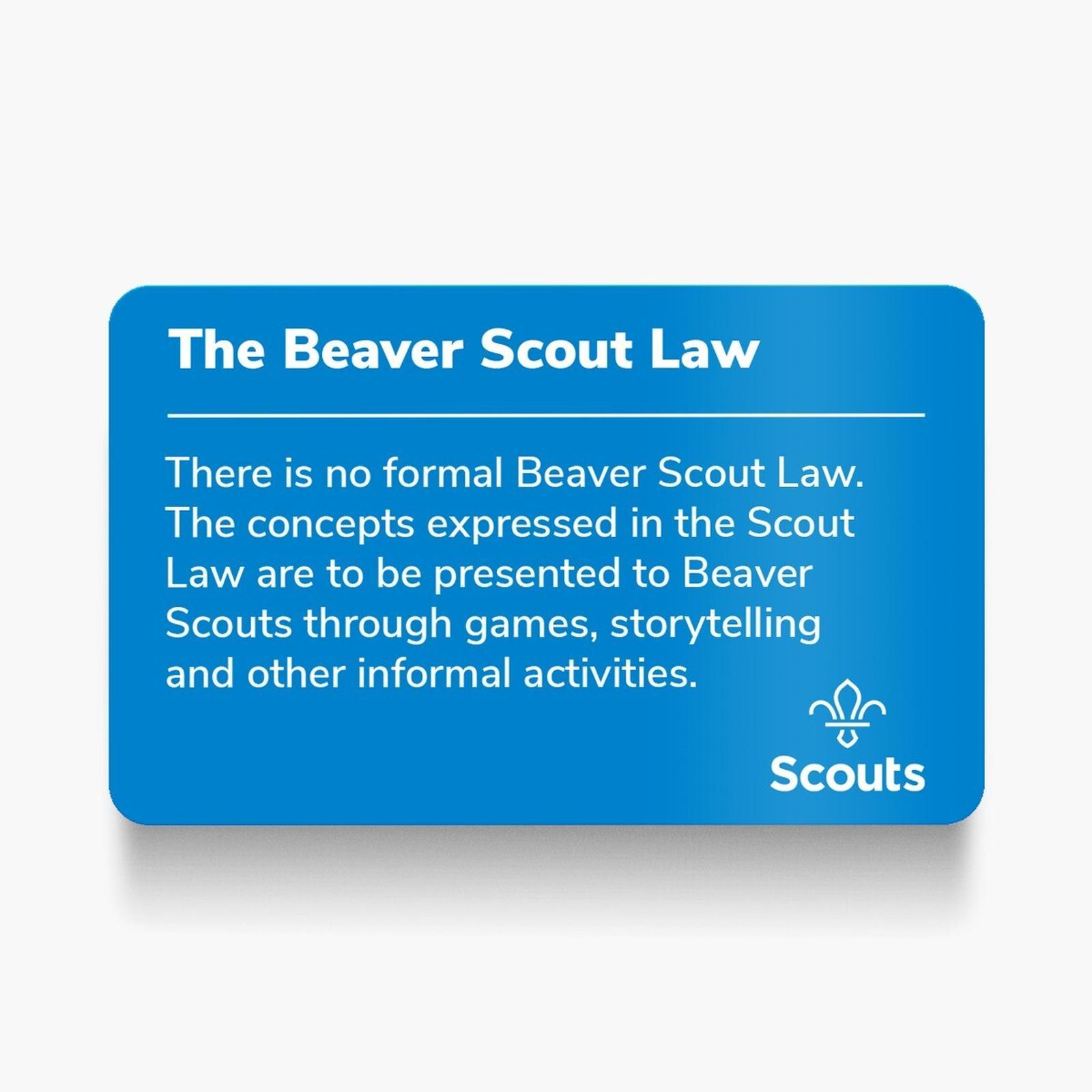 Beaver Scouts Promise Card - Sikh