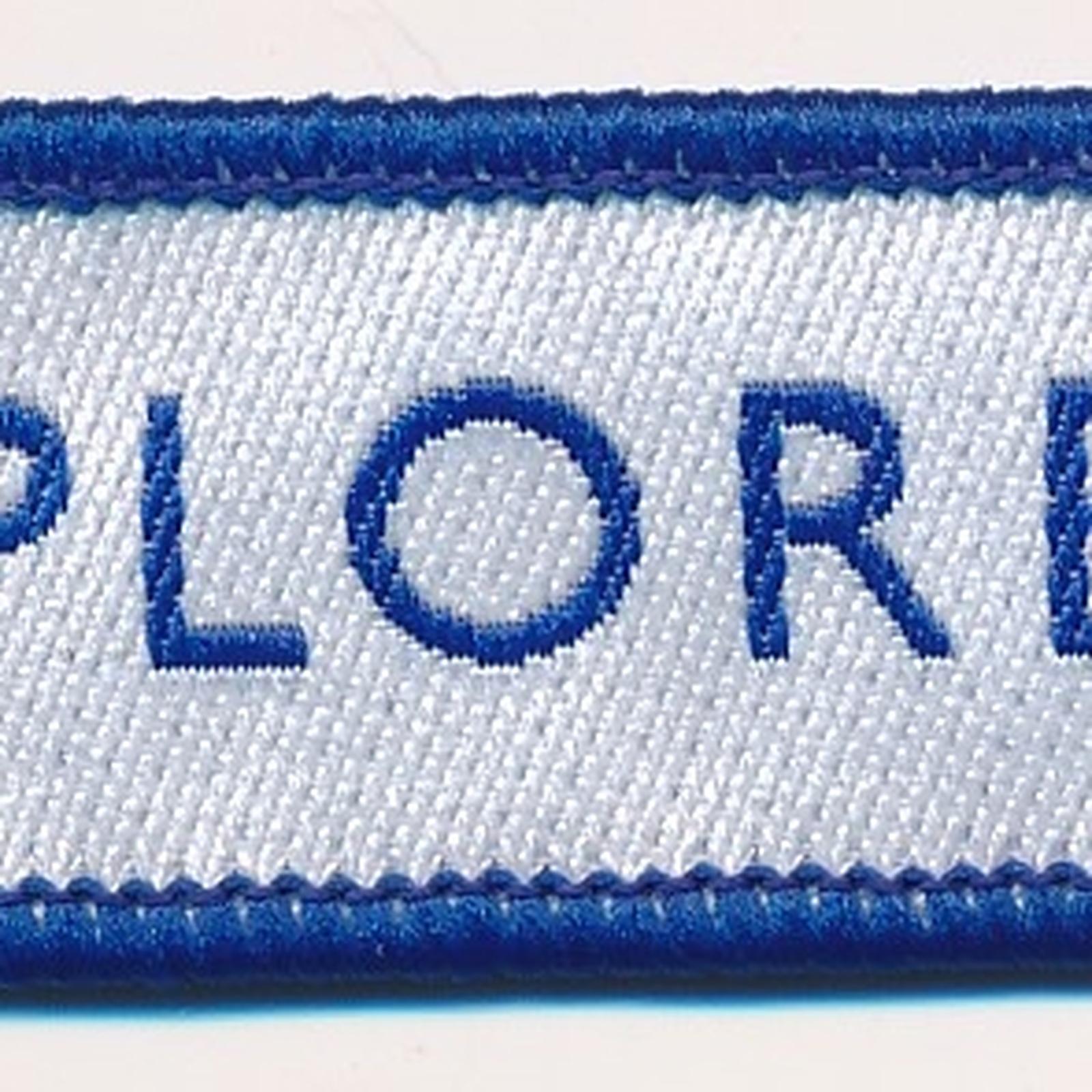 Explorer Scouts Logo Woven Badge 7.1cm x 2cm Scouts Sections