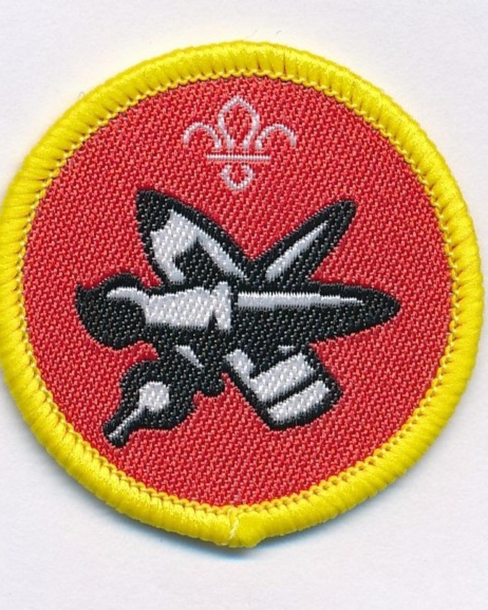 Cub Scout Entertainer Badge (Shrek) Volunteer Leaders