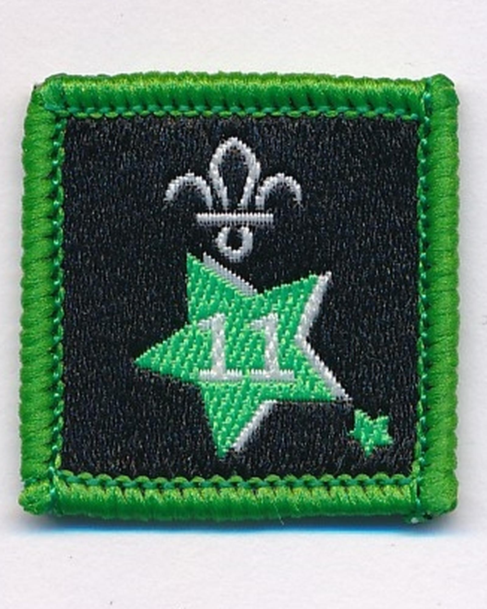Cub Scout Chief Scout's Silver Award Badge Volunteer Leaders