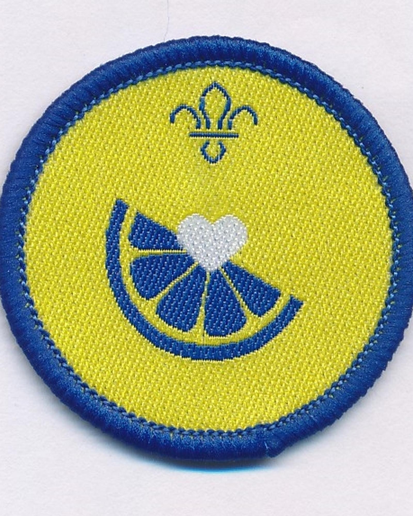 Cub Scouts A3 Scratch Off Badge Achievement Poster Scouts Sections