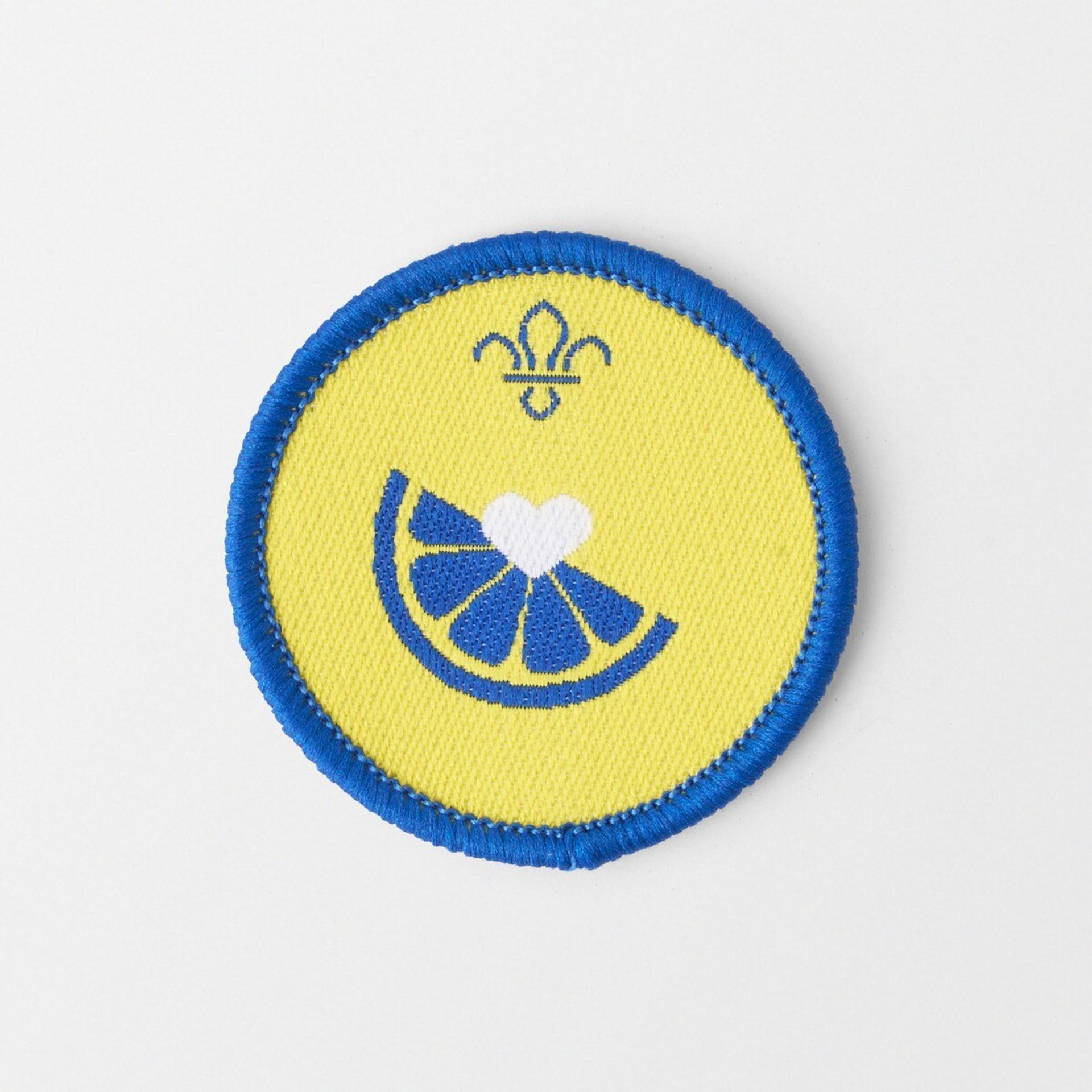 Beaver Scouts Scouts Health and Fitness Badge
